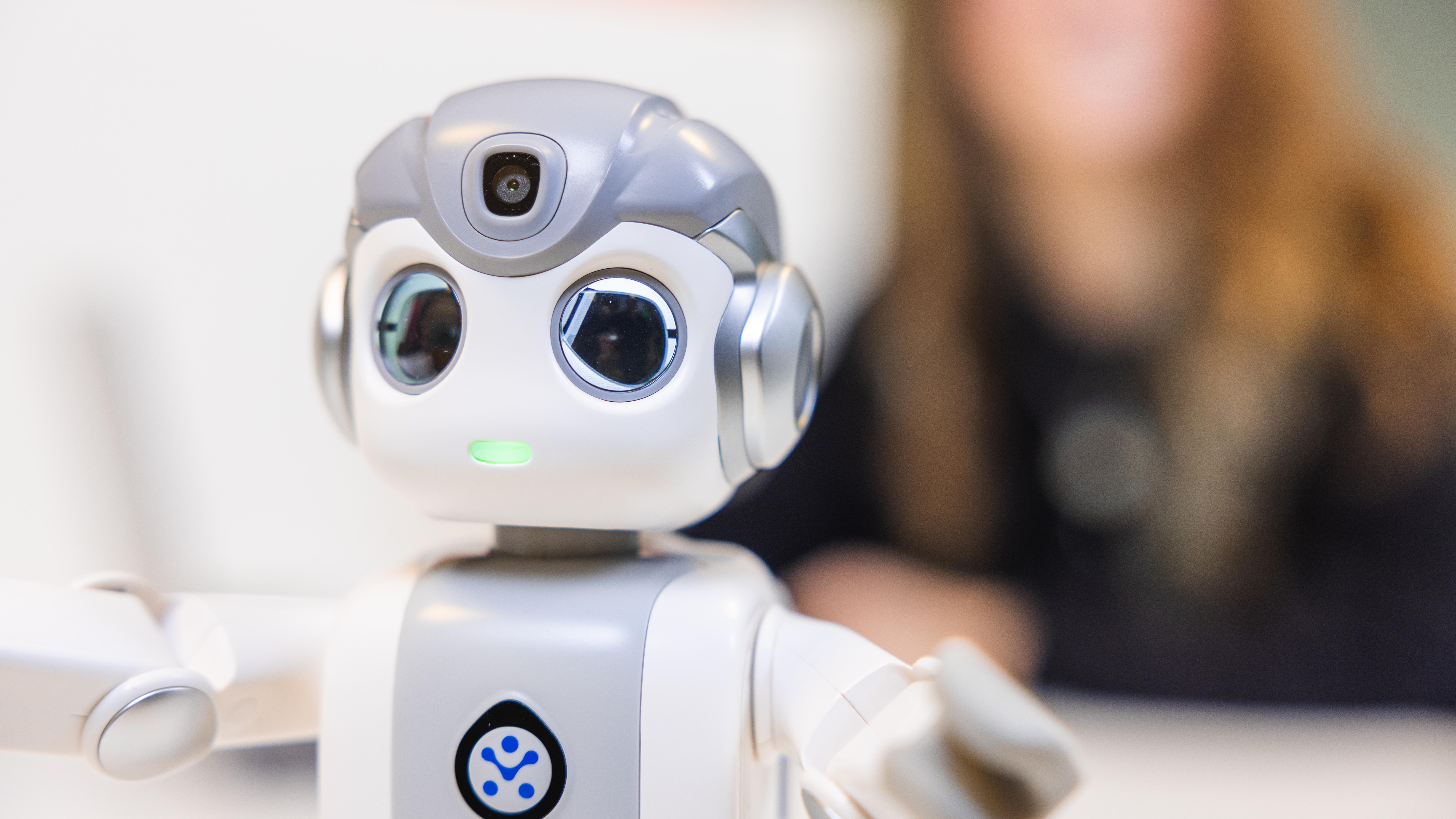 Implementatiewijzer sociale robots in de zorg | Fontys